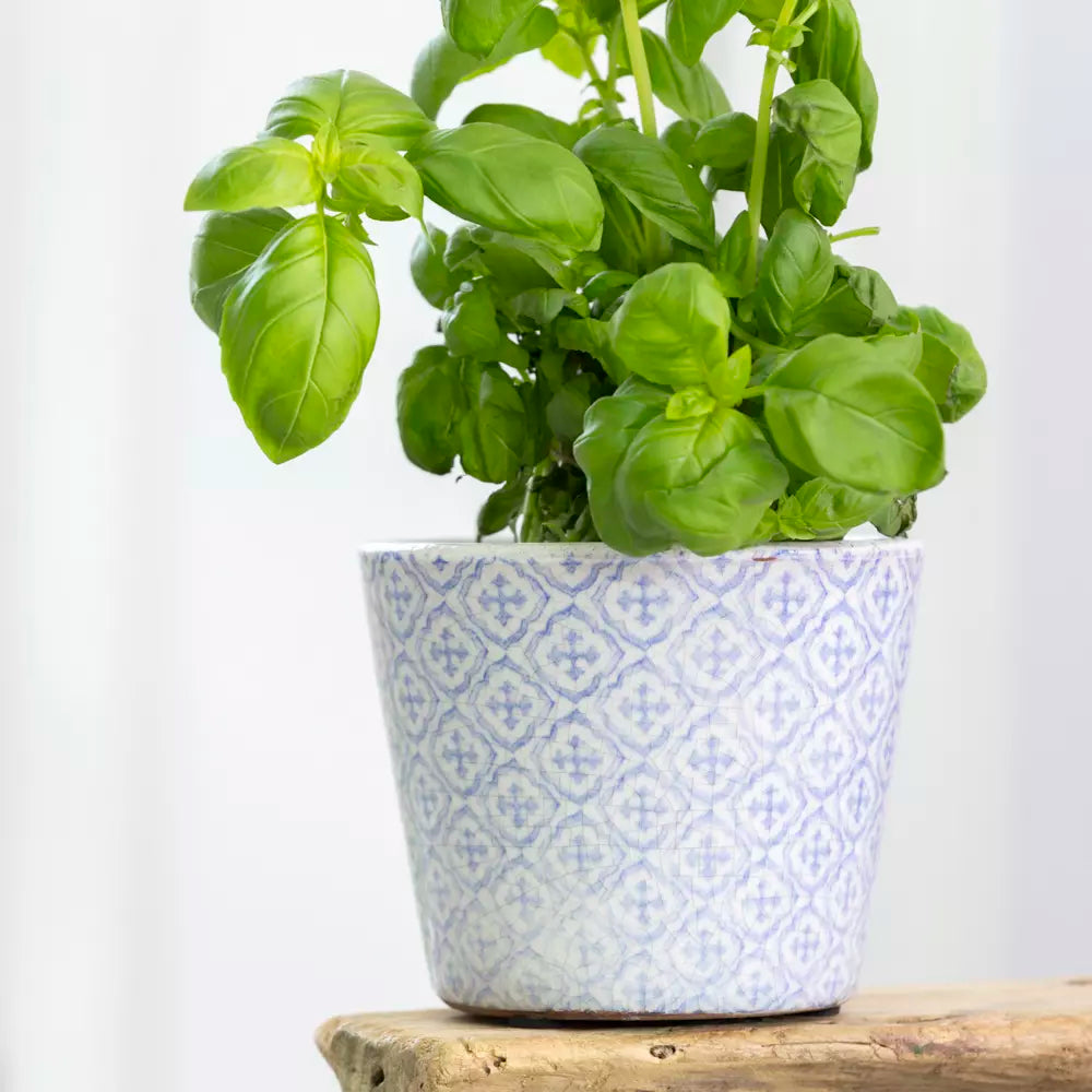 Old Style Dutch Pot in Blue – Camperdown Lane